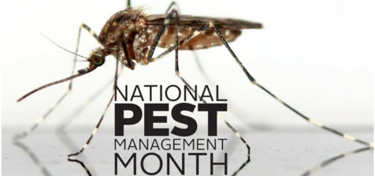 National Pest Management Month (NPMM) | Jackson County Vector Control ...