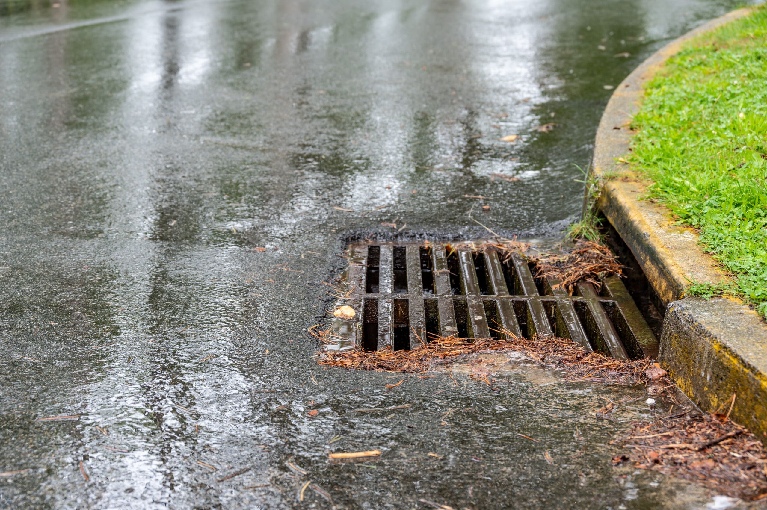 Storm Drain Patrol | Jackson County Vector Control District